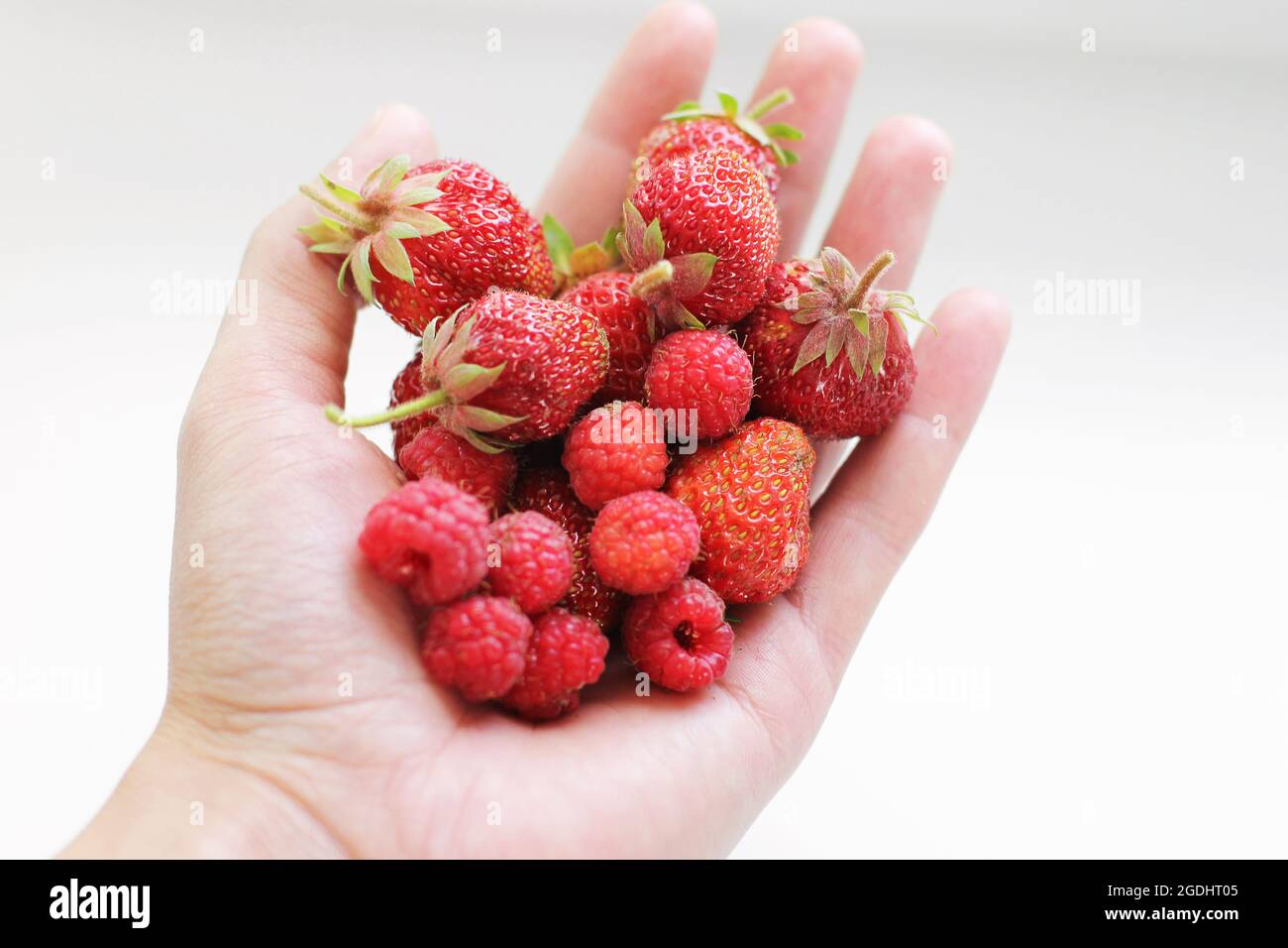 Strawberry and raspberry in hand Stock Photo - Alamy