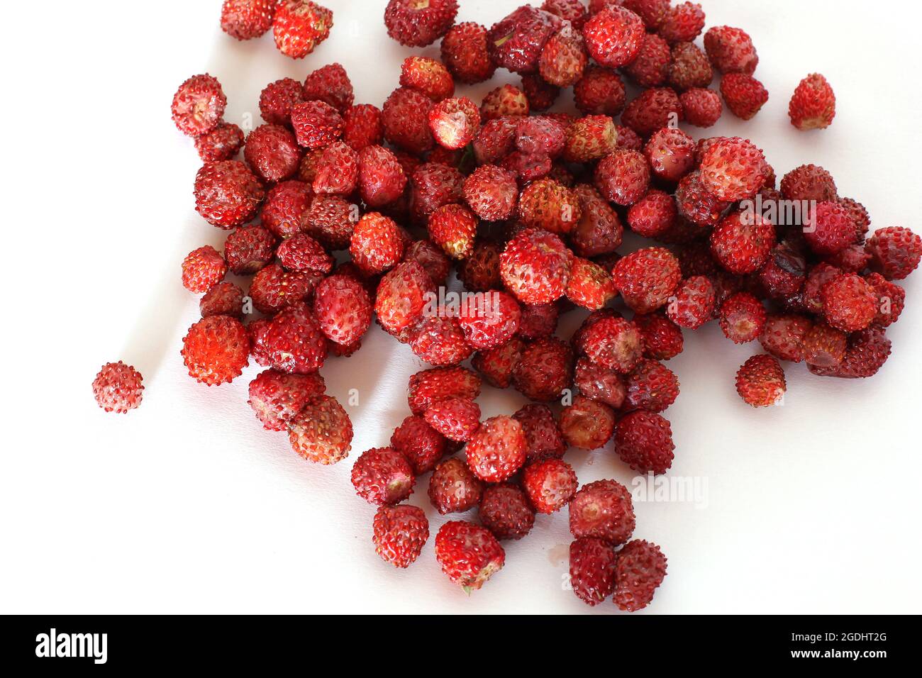 Small wild strawberry on a white background Stock Photo - Alamy