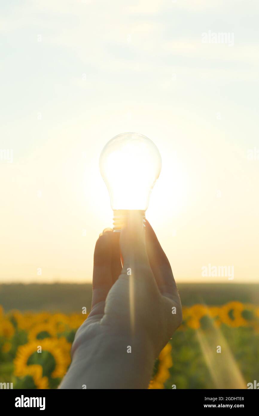Light bulb with sunshine inside in field. Environment, eco technology ...