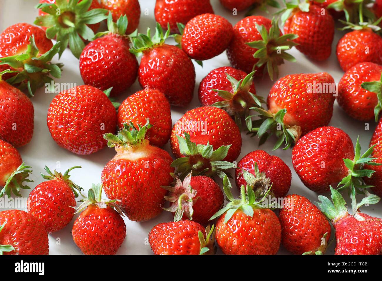 Strawberry harvest close-up. Red summer berry Stock Photo - Alamy