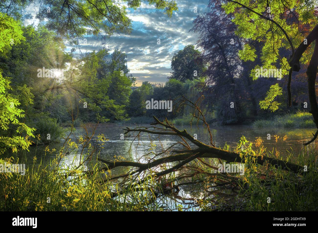 Enchanted place hi-res stock photography and images - Alamy