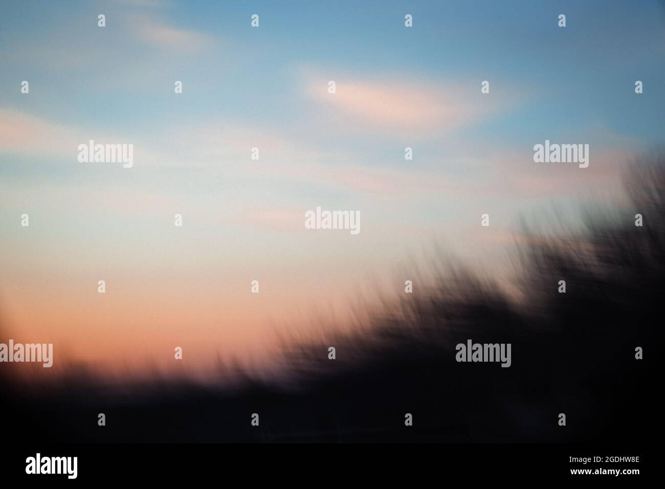 Pastel forest hues hi-res stock photography and images - Alamy