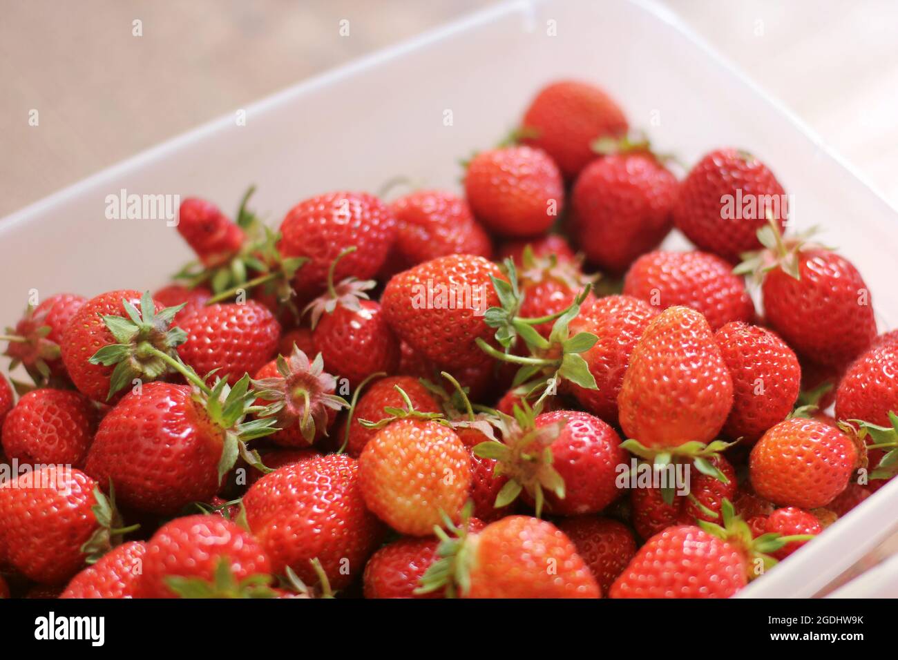 Strawberry harvest close-up. Red summer berry Stock Photo - Alamy