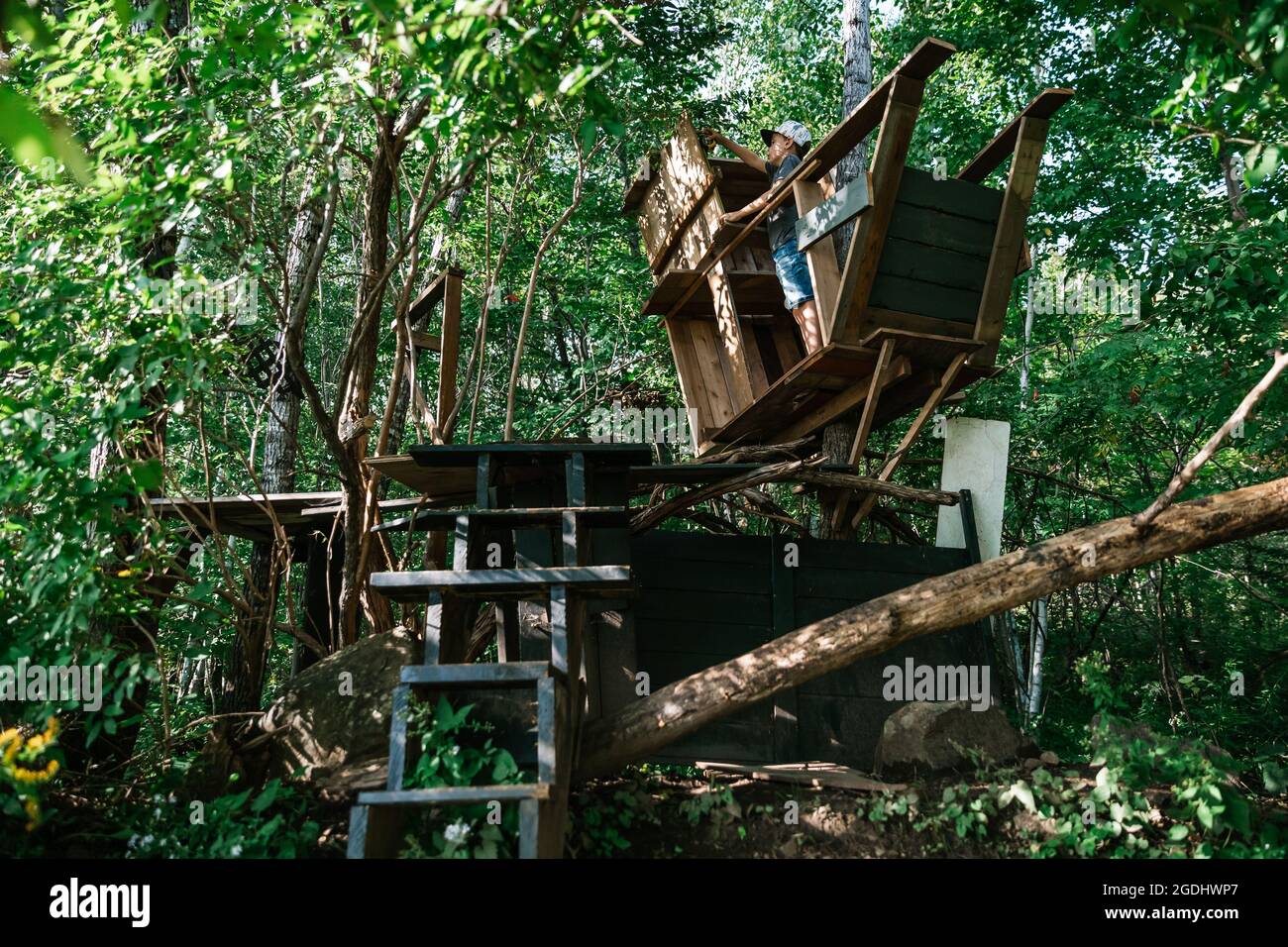 8 years old boy building a treehouse in the forest during summer Stock ...