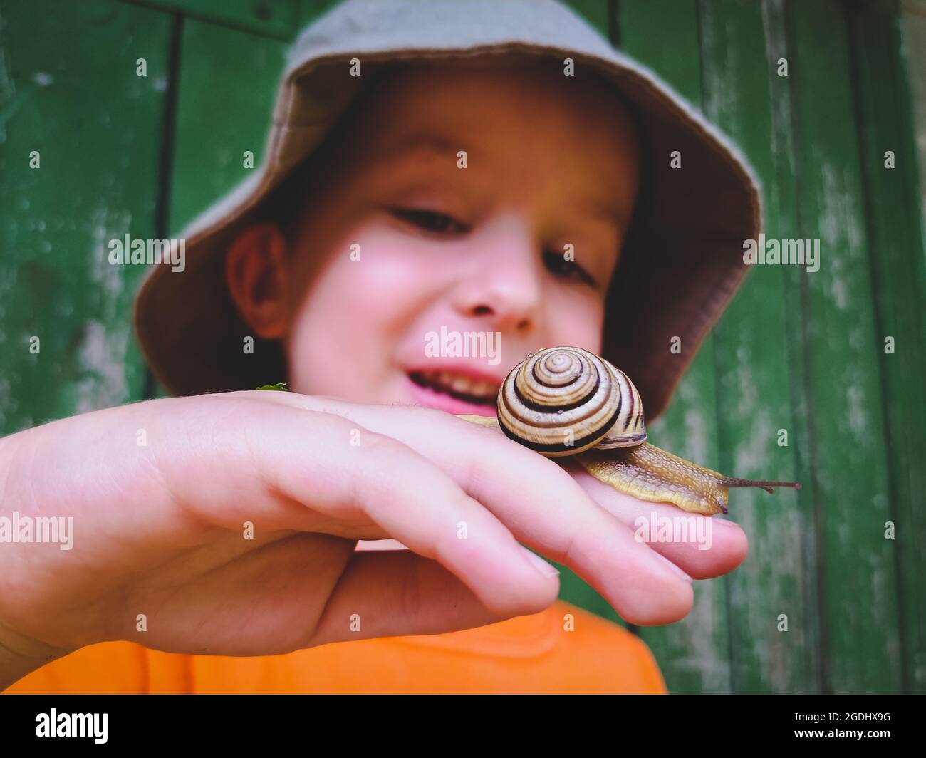Snail on hand of smiling little boy on green background close up Stock ...