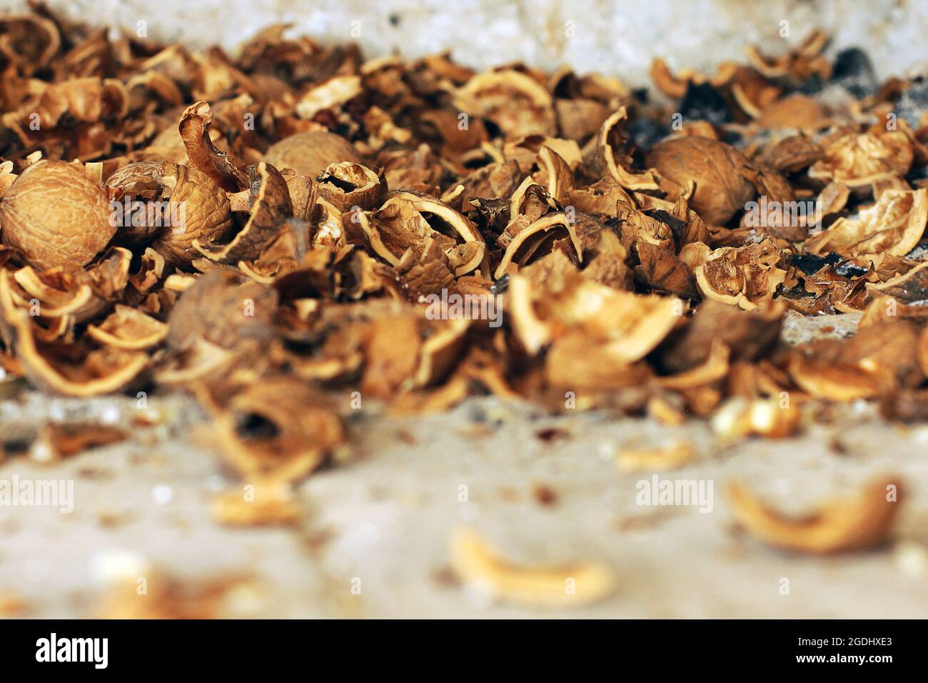 Walnut shells close up. Background. Walnut on wall background Stock ...