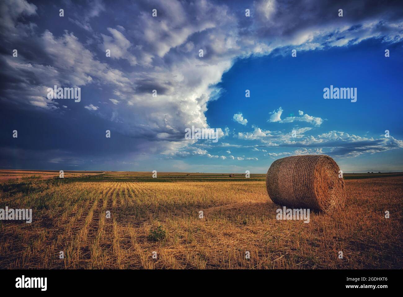 Rural country farm hi-res stock photography and images - Alamy