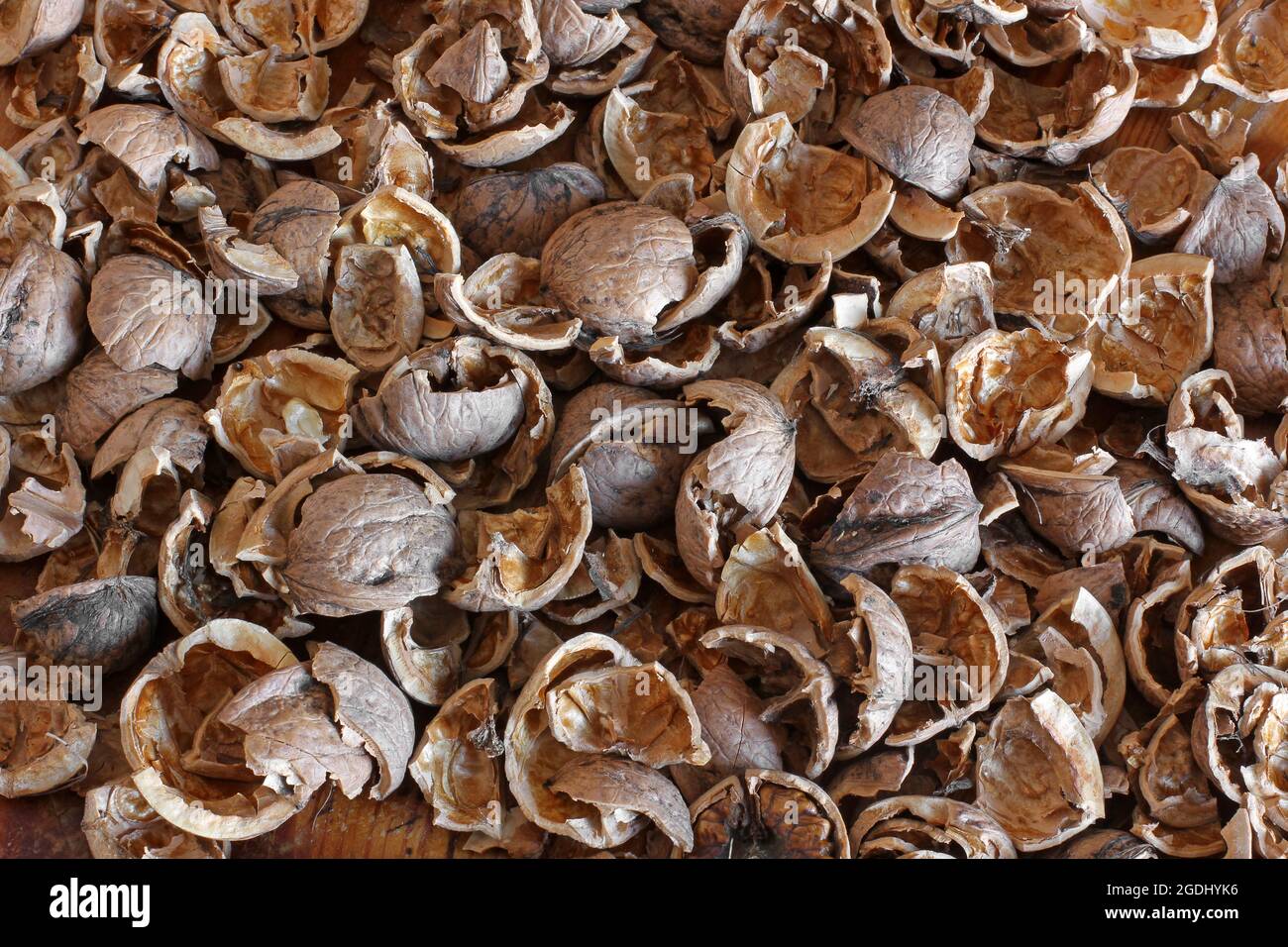 Walnut shells close up. Background. Walnut on wall background Stock ...