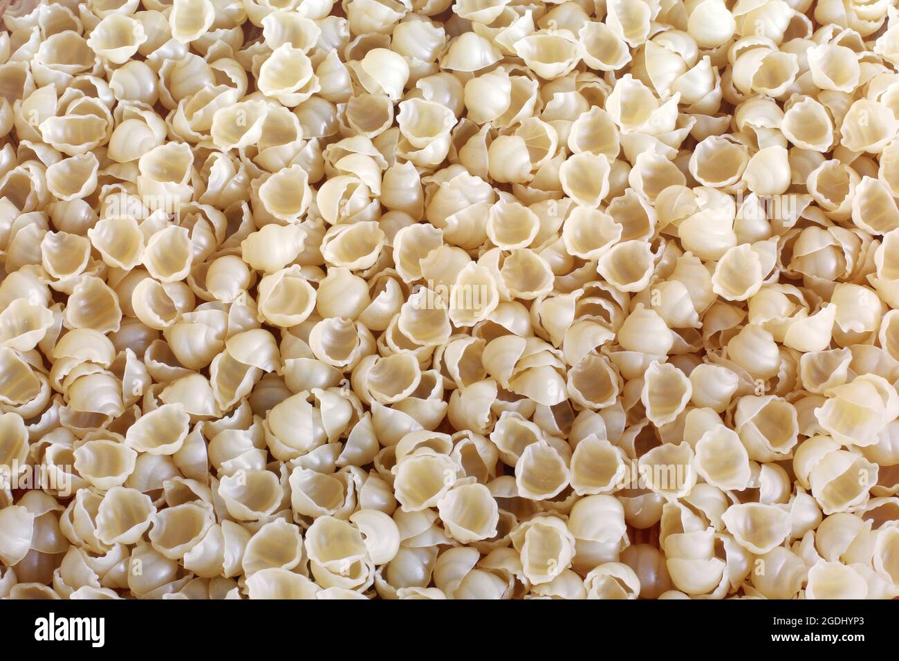 Background from pasta. Edible background Stock Photo - Alamy