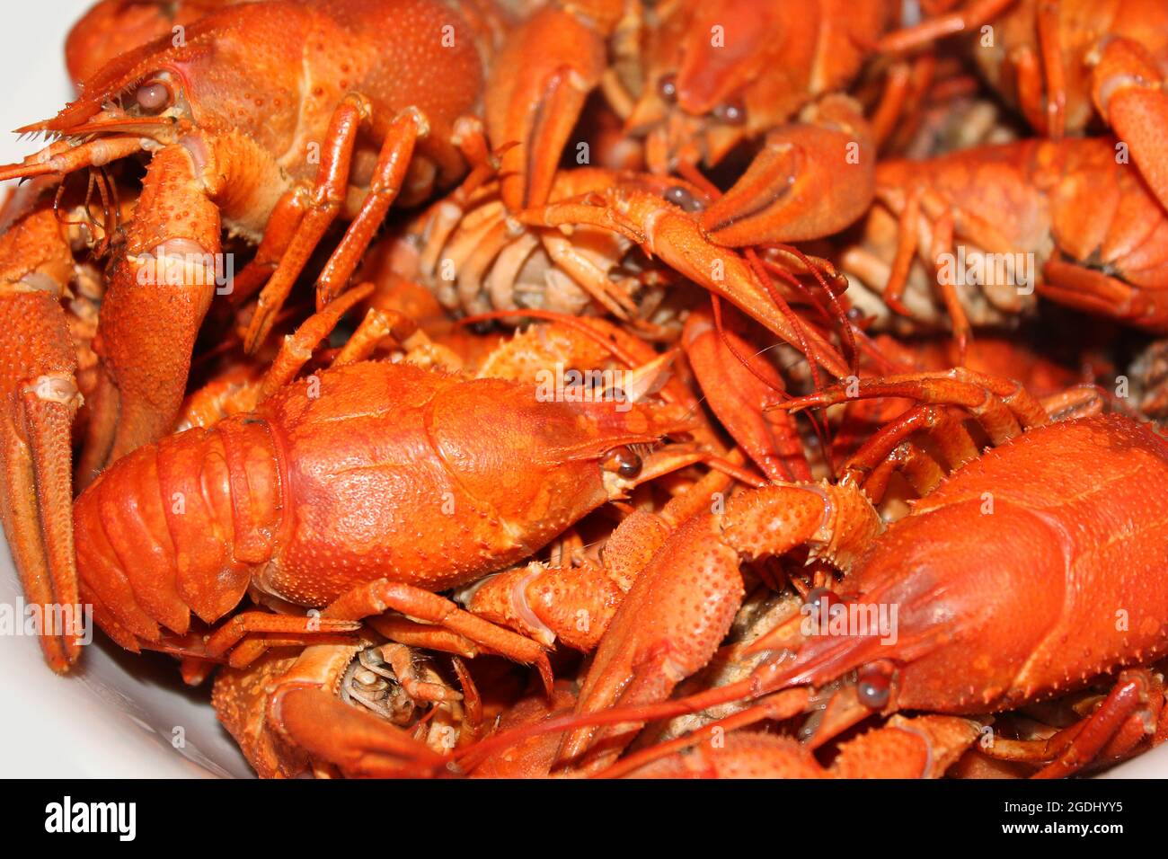 Boiled crayfish close up Stock Photo - Alamy