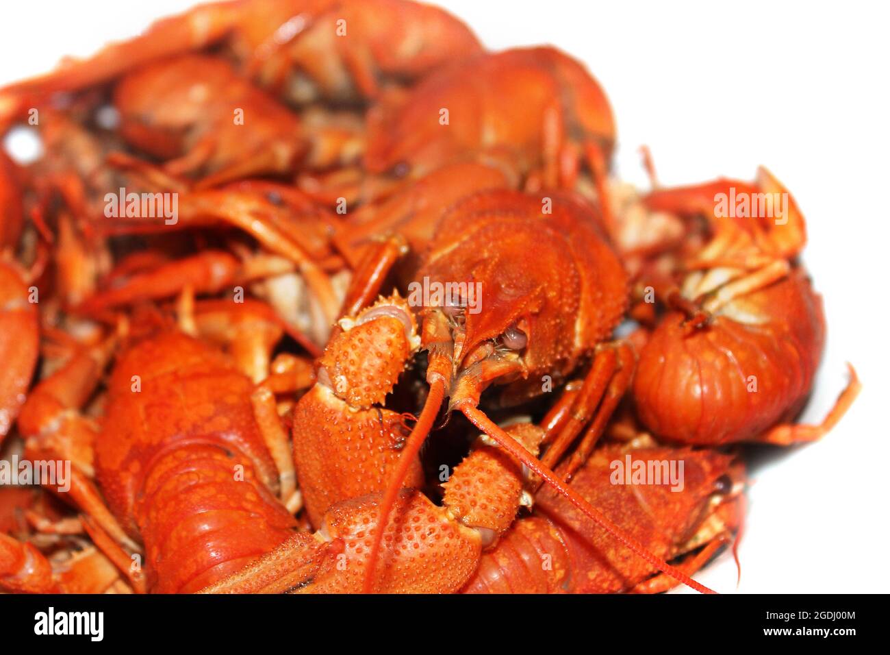 Boiled crayfish on a white background Stock Photo - Alamy
