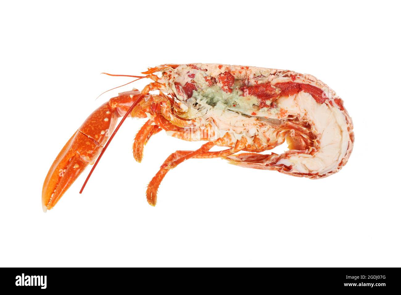 Half of a cooked lobster isolated against white Stock Photo - Alamy