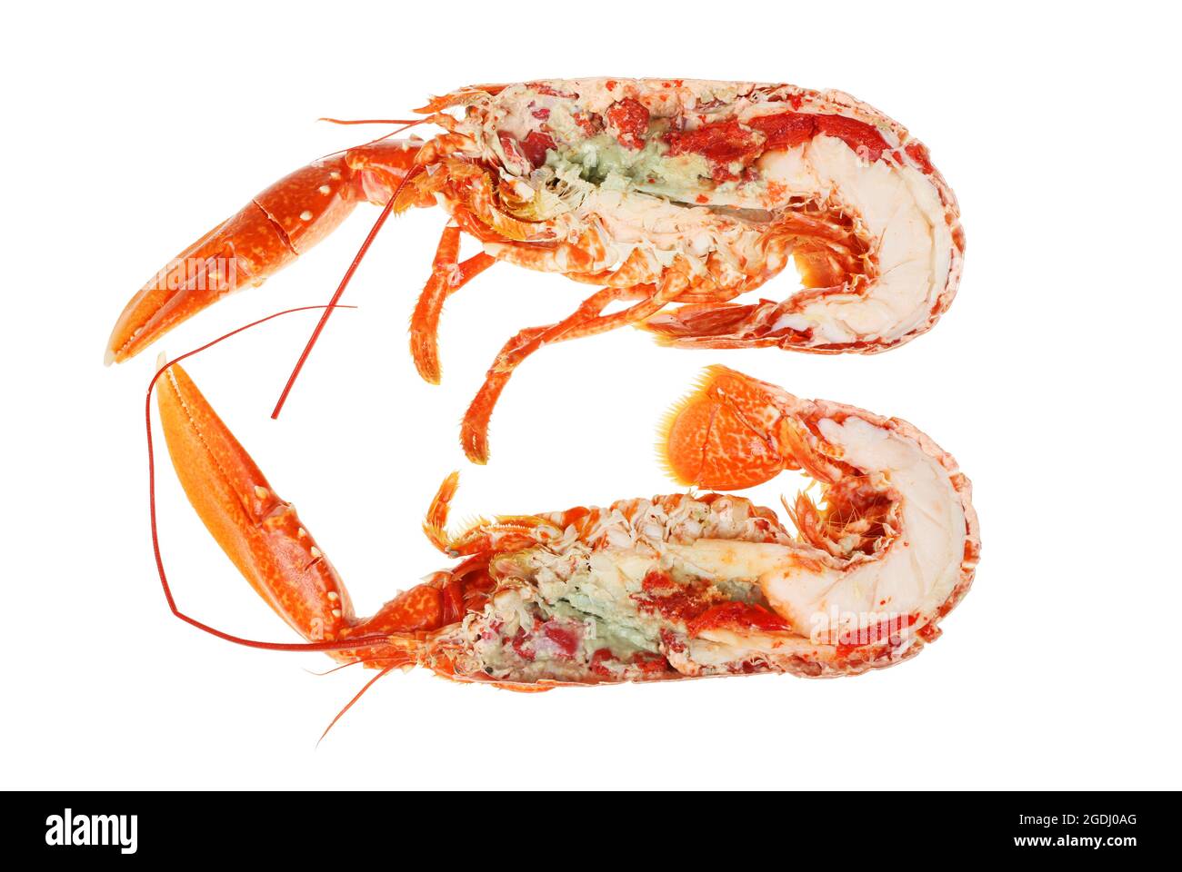 Two split lobster halves isolated against white Stock Photo - Alamy