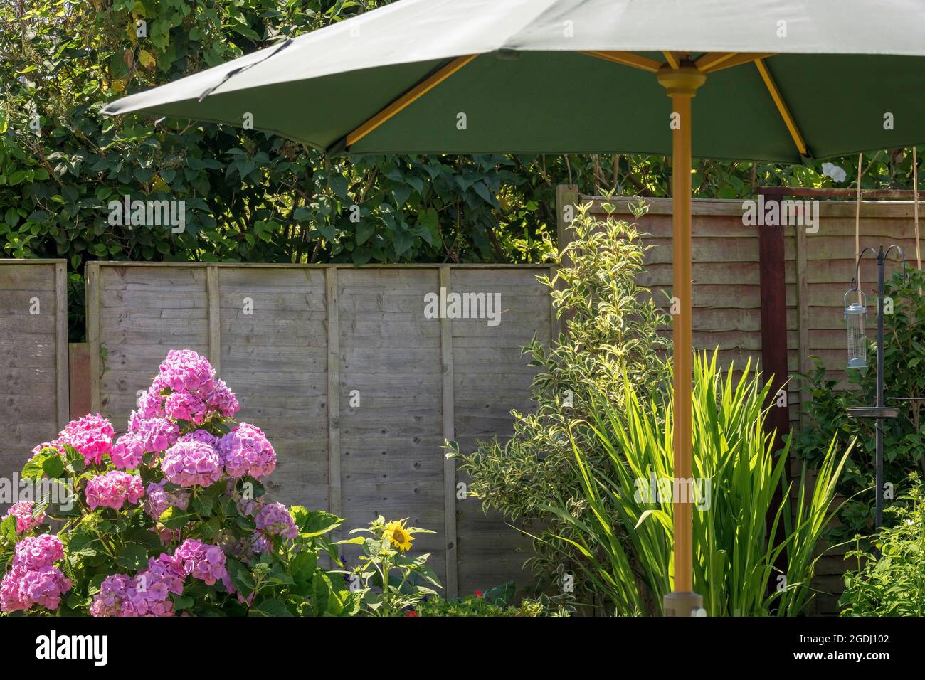 Garden parasol during summer Stock Photo - Alamy