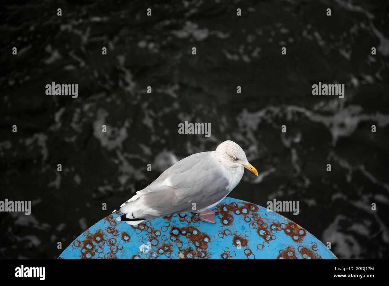 Rust stands hi-res stock photography and images - Alamy