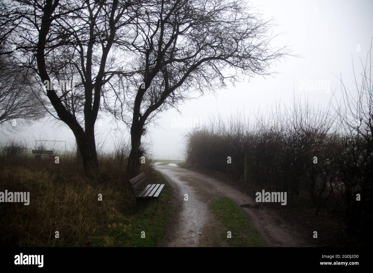 Campus campus landschaft hi-res stock photography and images - Alamy