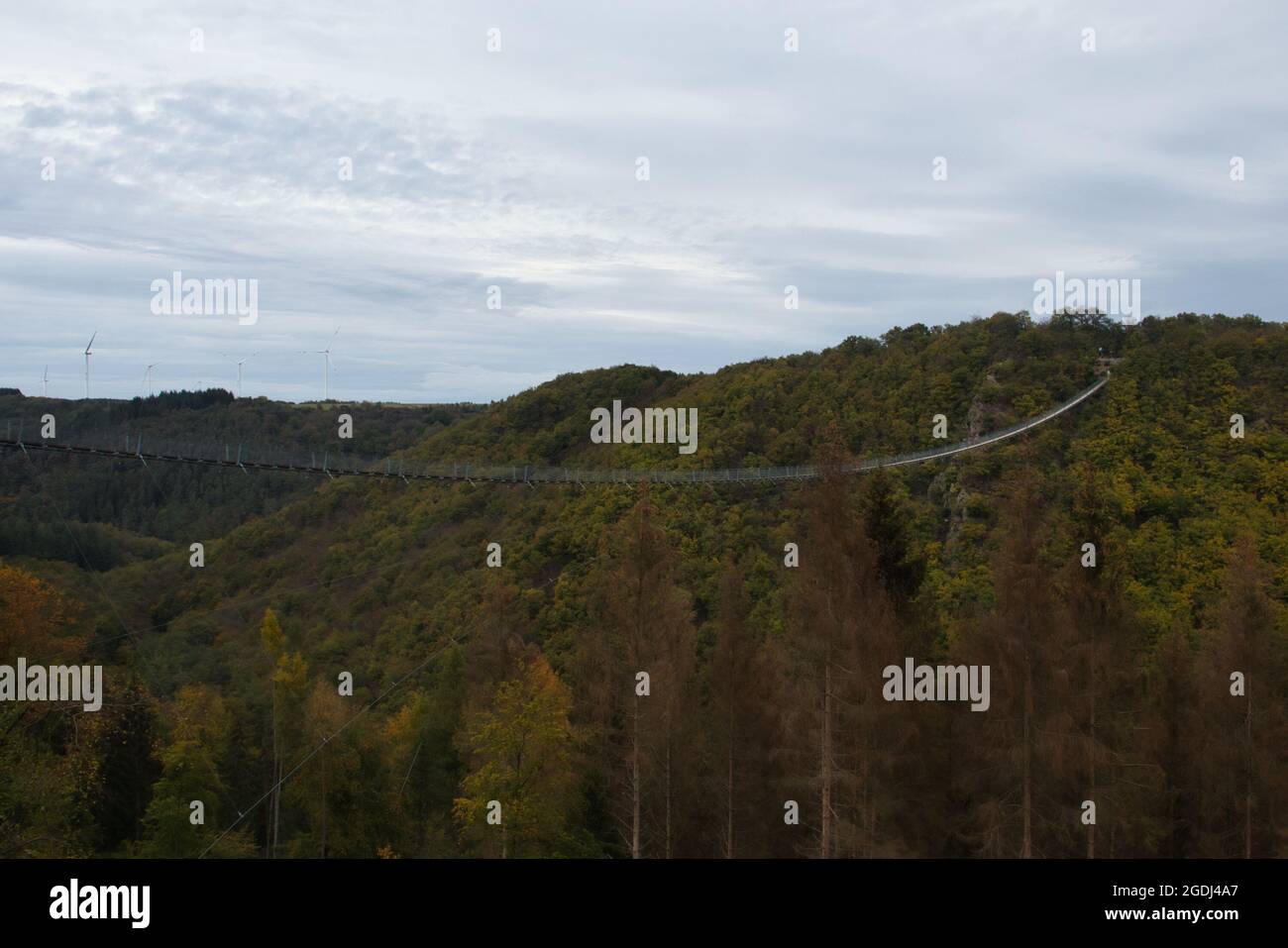 The Geierlay Suspension Bridge, over 300 feet above the ground, on a ...