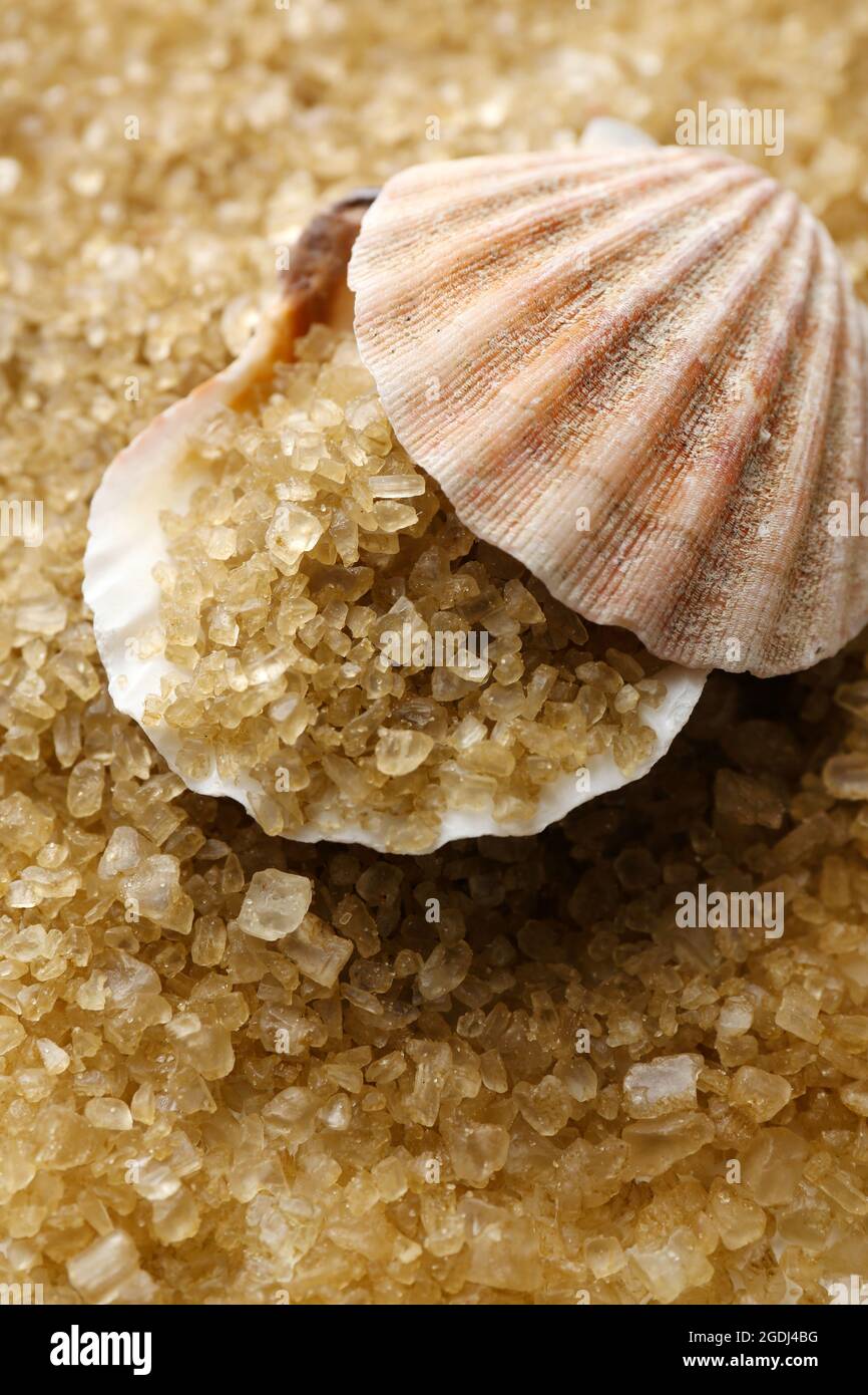 Sea salt and seashell, close up Stock Photo - Alamy