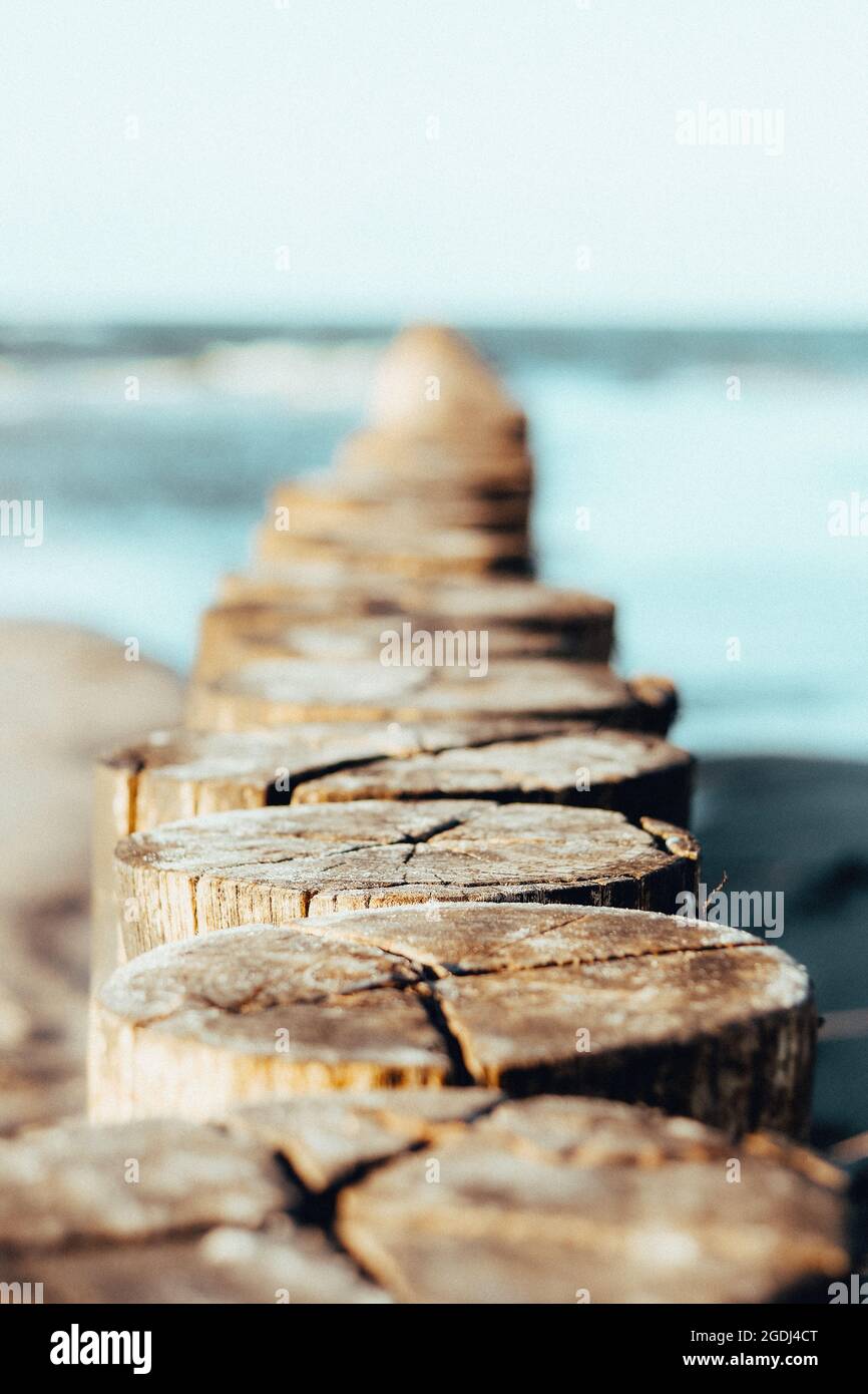 Closeup shot of a stack of freshly sawn logs Stock Photo - Alamy