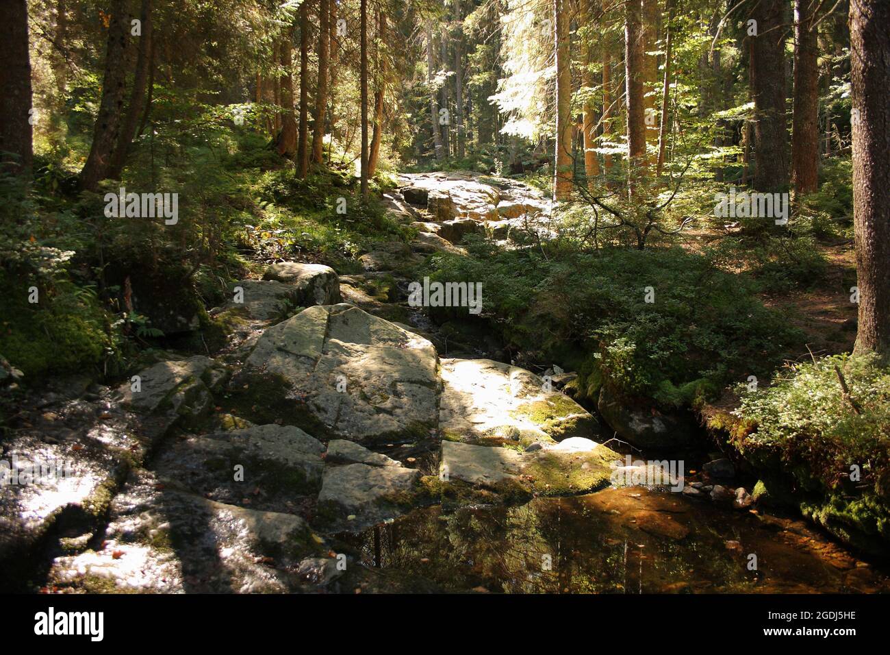 Landschaft Bayern - Bayrischer Wald / Landscape Bavaria - Bavarian ...
