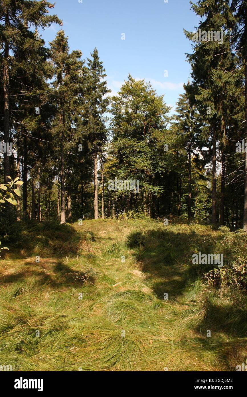 Landschaft Bayern - Bayrischer Wald / Landscape Bavaria - Bavarian ...