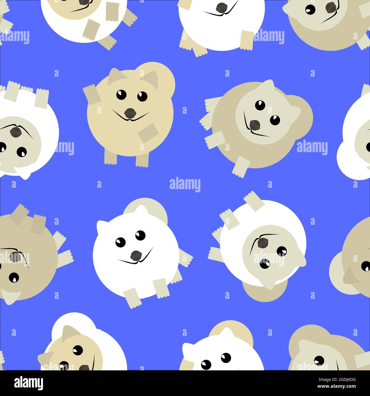 German spitz breed dog Stock Vector Images - Alamy