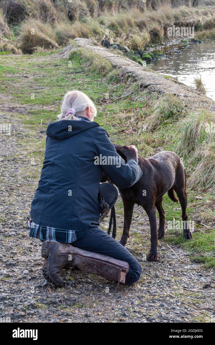 Puppies on the cover of the magazine hi-res stock photography and ...