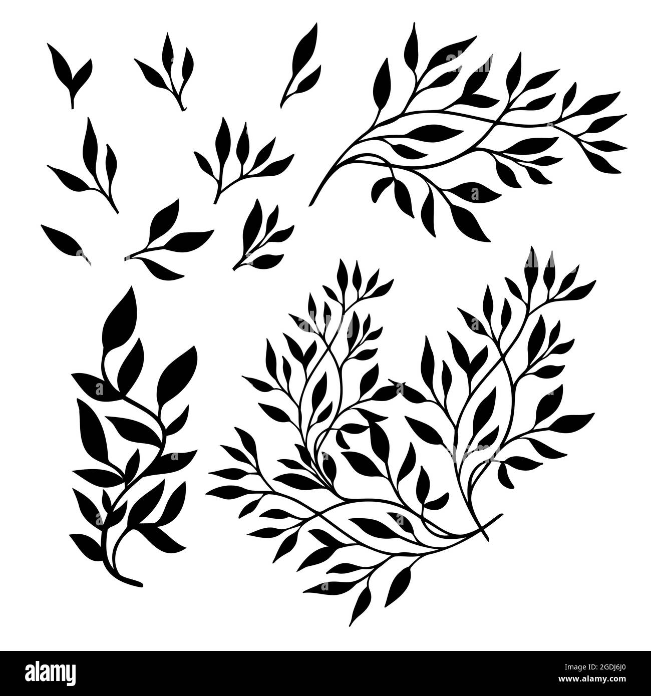 Set of black twigs with leaves. Vector illustration Stock Vector Image ...