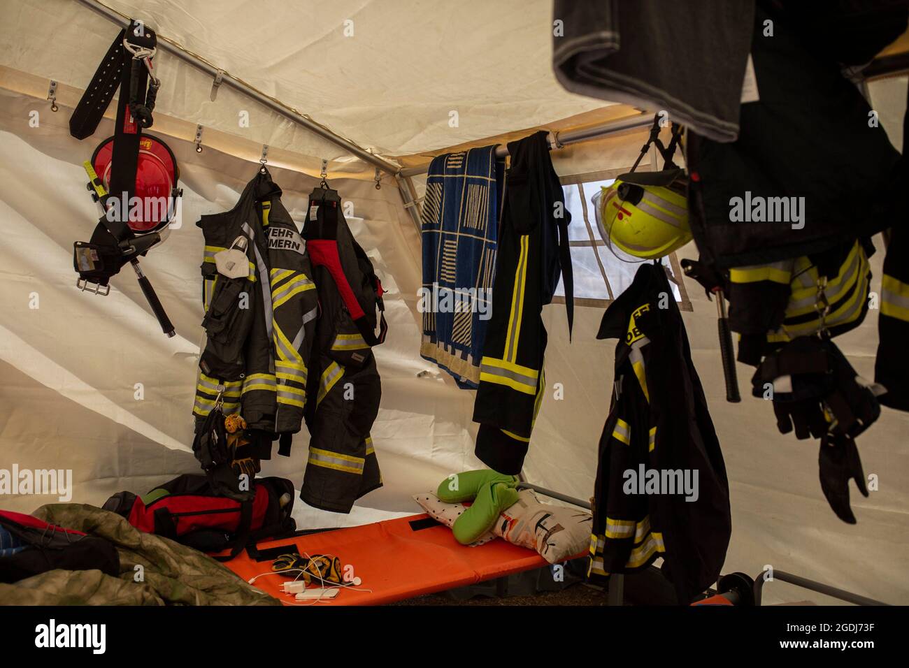Forest smoldering after a fire hi-res stock photography and images - Alamy