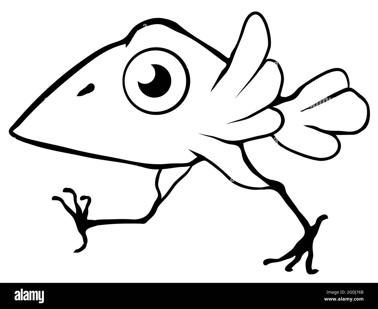 Bird Line Drawing High Resolution Stock Photography and Images - Alamy