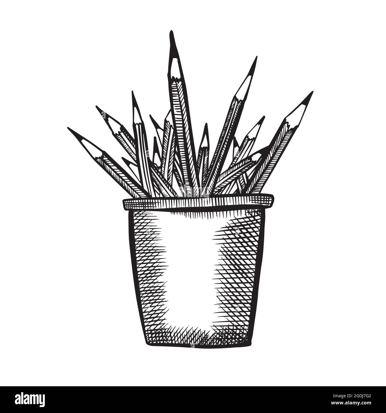 Pencils in a glass. hatching. Vector illustration Stock Vector Image ...