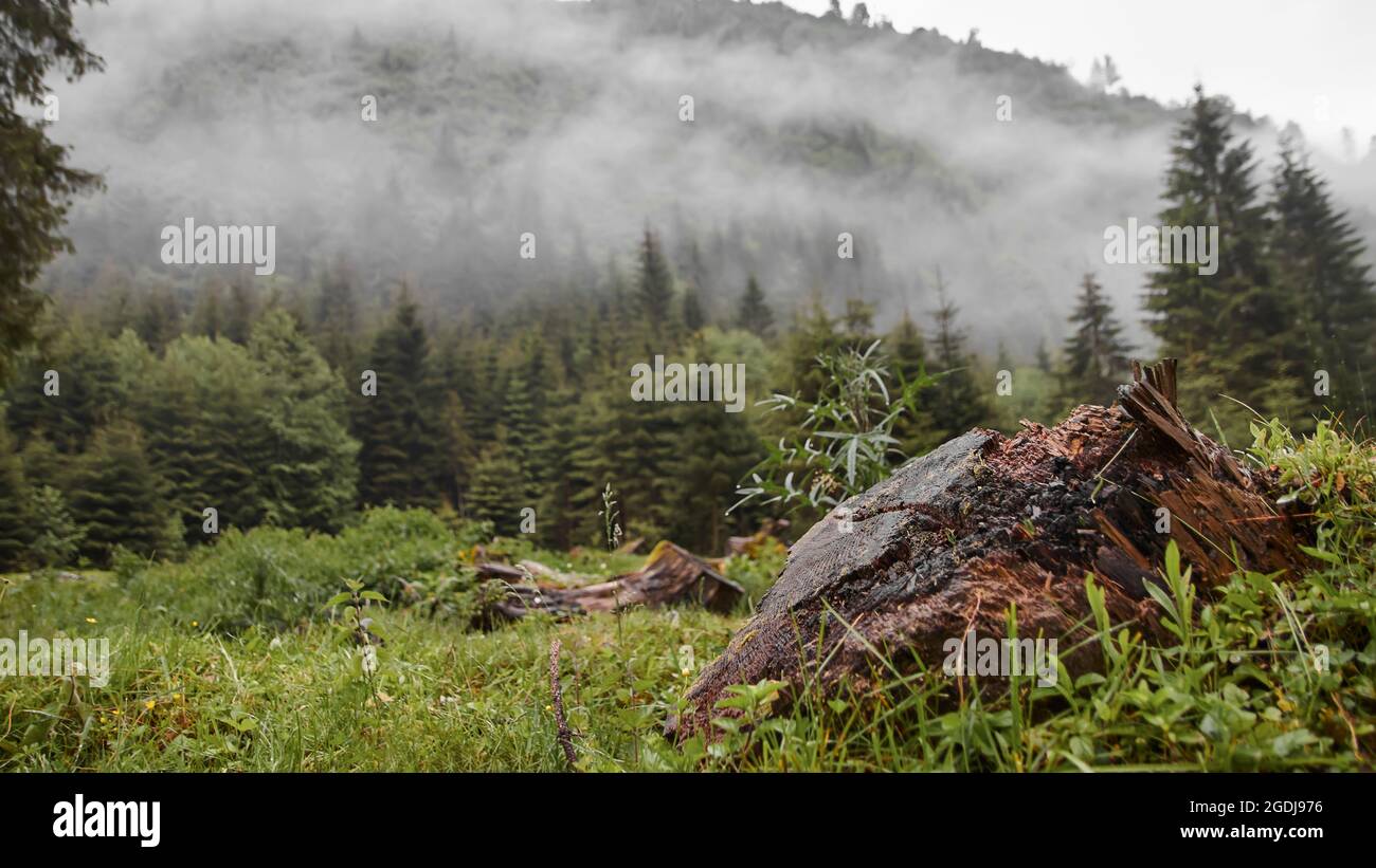 Mist scenic hi-res stock photography and images - Alamy