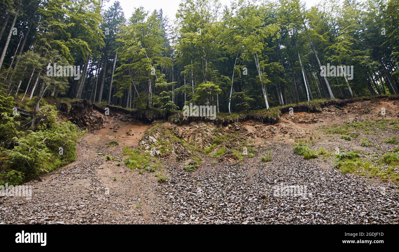 Landslide forest hi-res stock photography and images - Alamy
