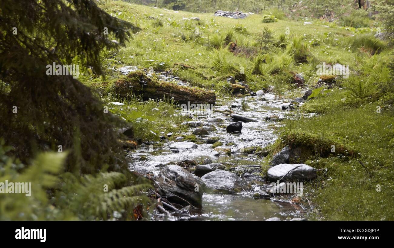 Beautiful flowing mountain stream close hi-res stock photography and ...