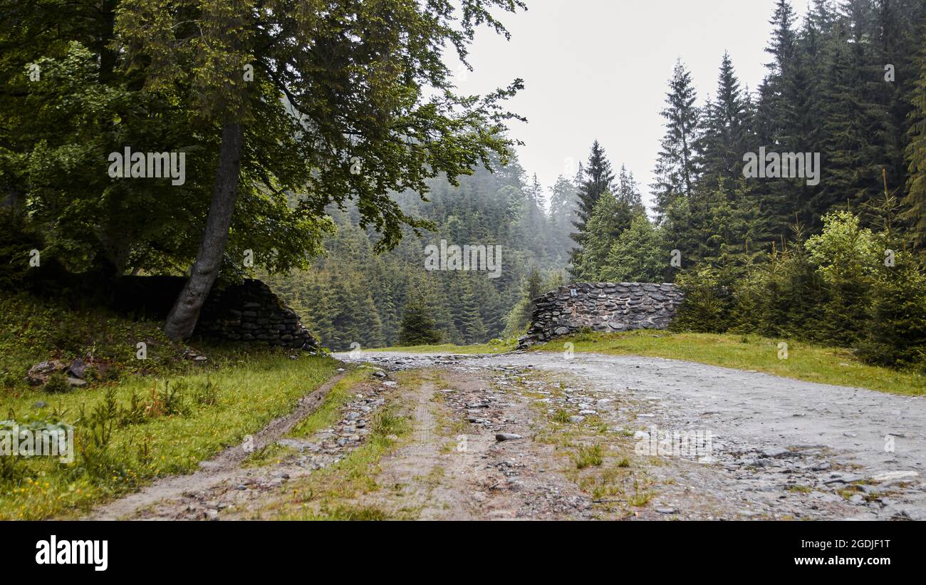 Historic blue forest trail hi-res stock photography and images - Alamy