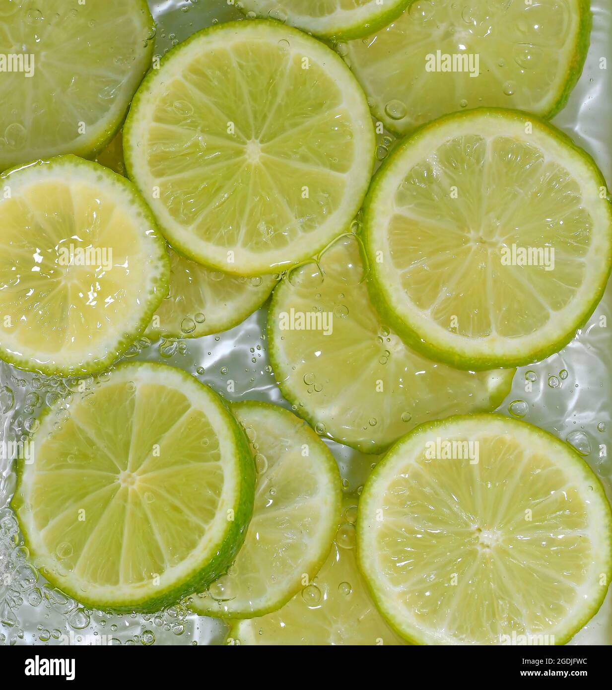 Slices of limes fruit in water on white background. Limes close-up in liquid with bubbles ...