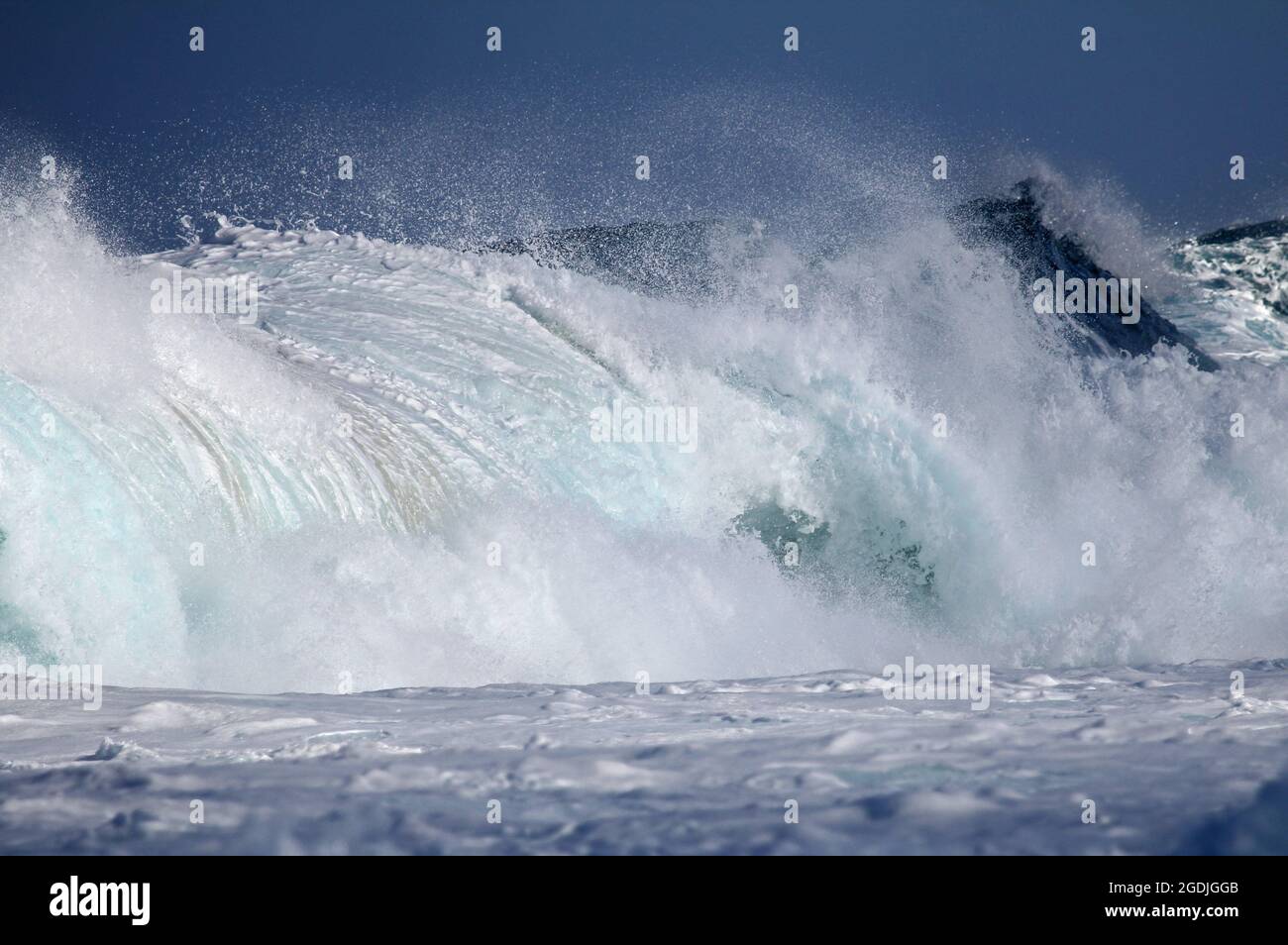 Crushing pipe wave - Hawaii Stock Photo - Alamy