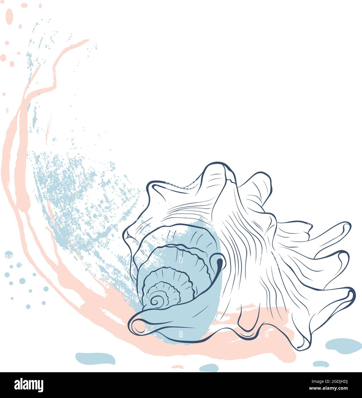 Spiked seashell in line art style Stock Vector Image & Art - Alamy