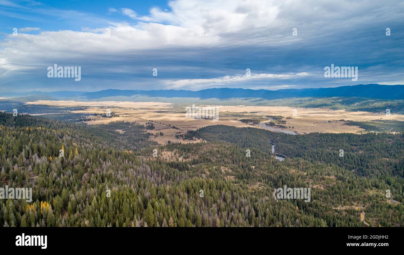 valley in the mountain forest Stock Photo - Alamy