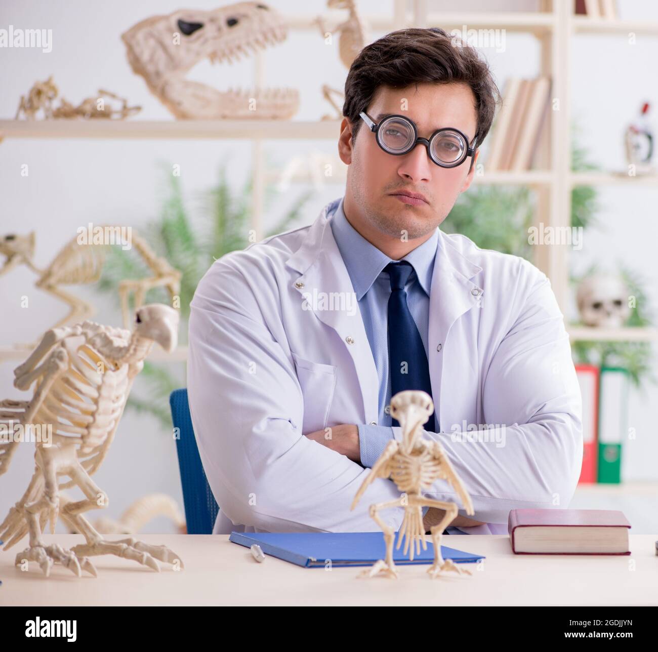 The funny crazy professor studying animal skeletons Stock Photo - Alamy