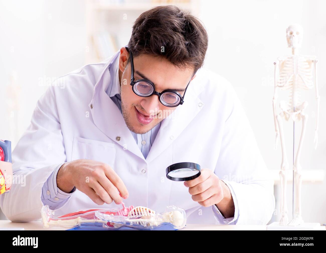 The crazy doctor studying human skeleton Stock Photo - Alamy