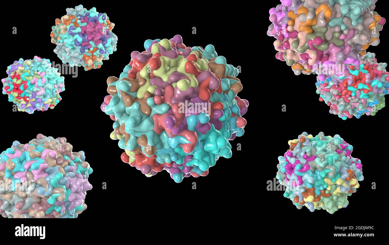 Adeno-associated viruses, illustration Stock Photo - Alamy