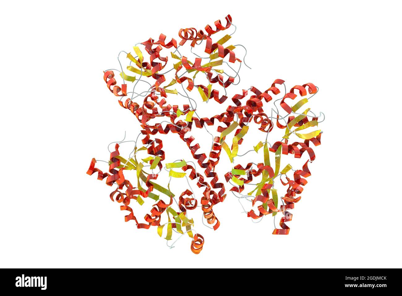 Huntingtin protein, illustration Stock Photo - Alamy
