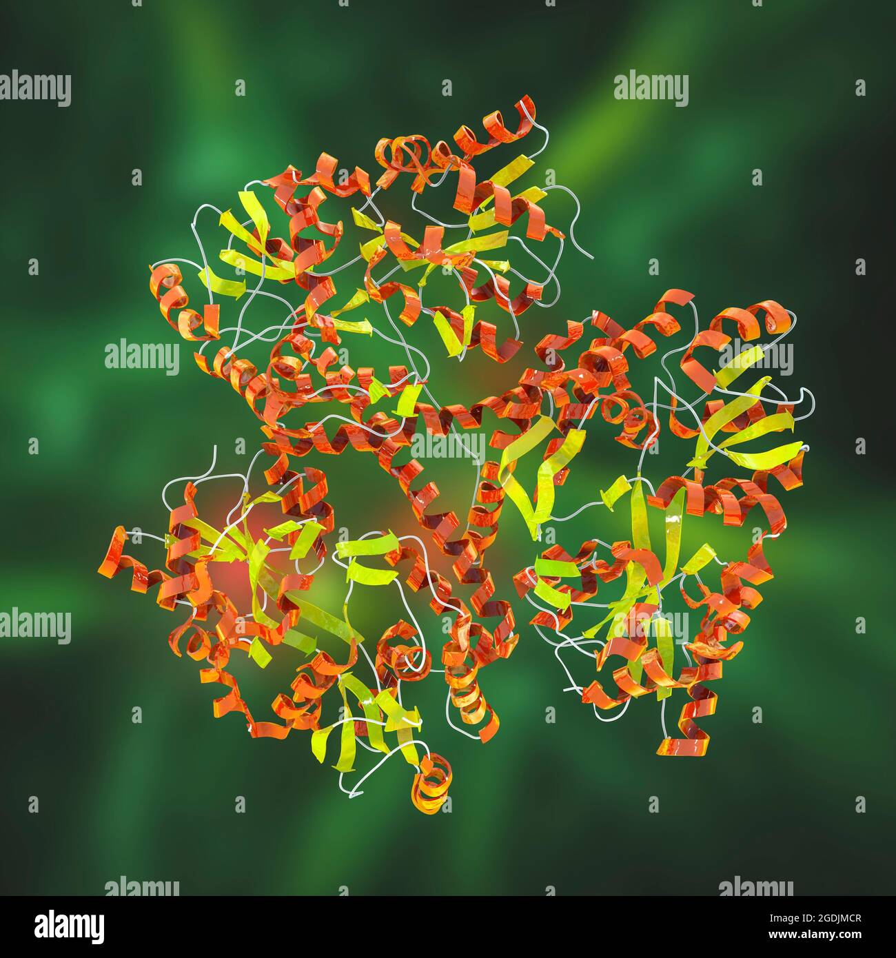 Huntingtin protein, illustration Stock Photo - Alamy