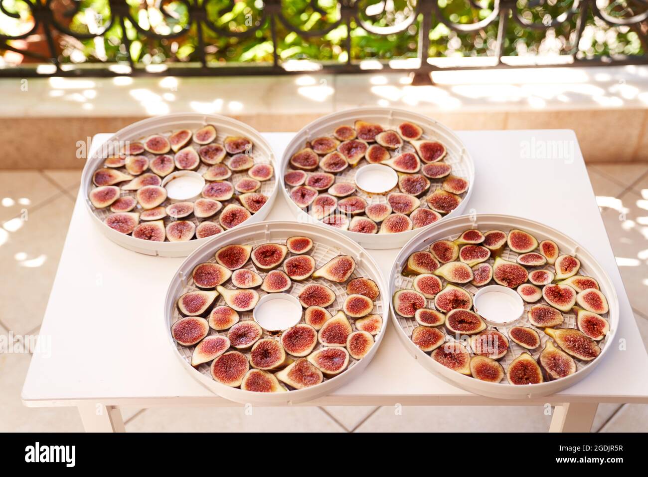 Fruit drying process on white dehydrator plates on table Stock Photo ...