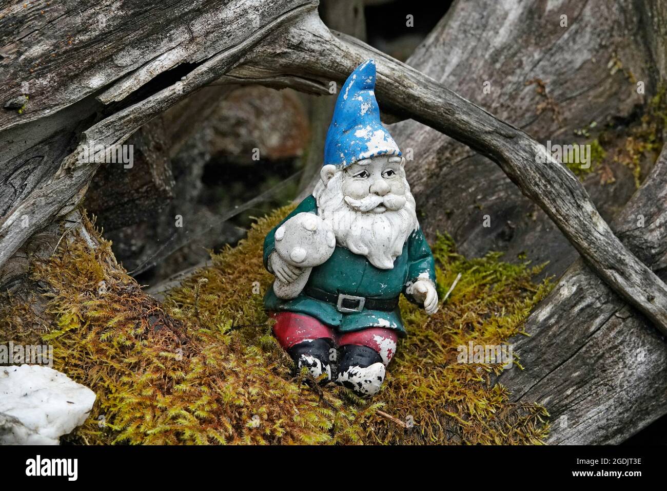 Gnome land hi-res stock photography and images - Alamy