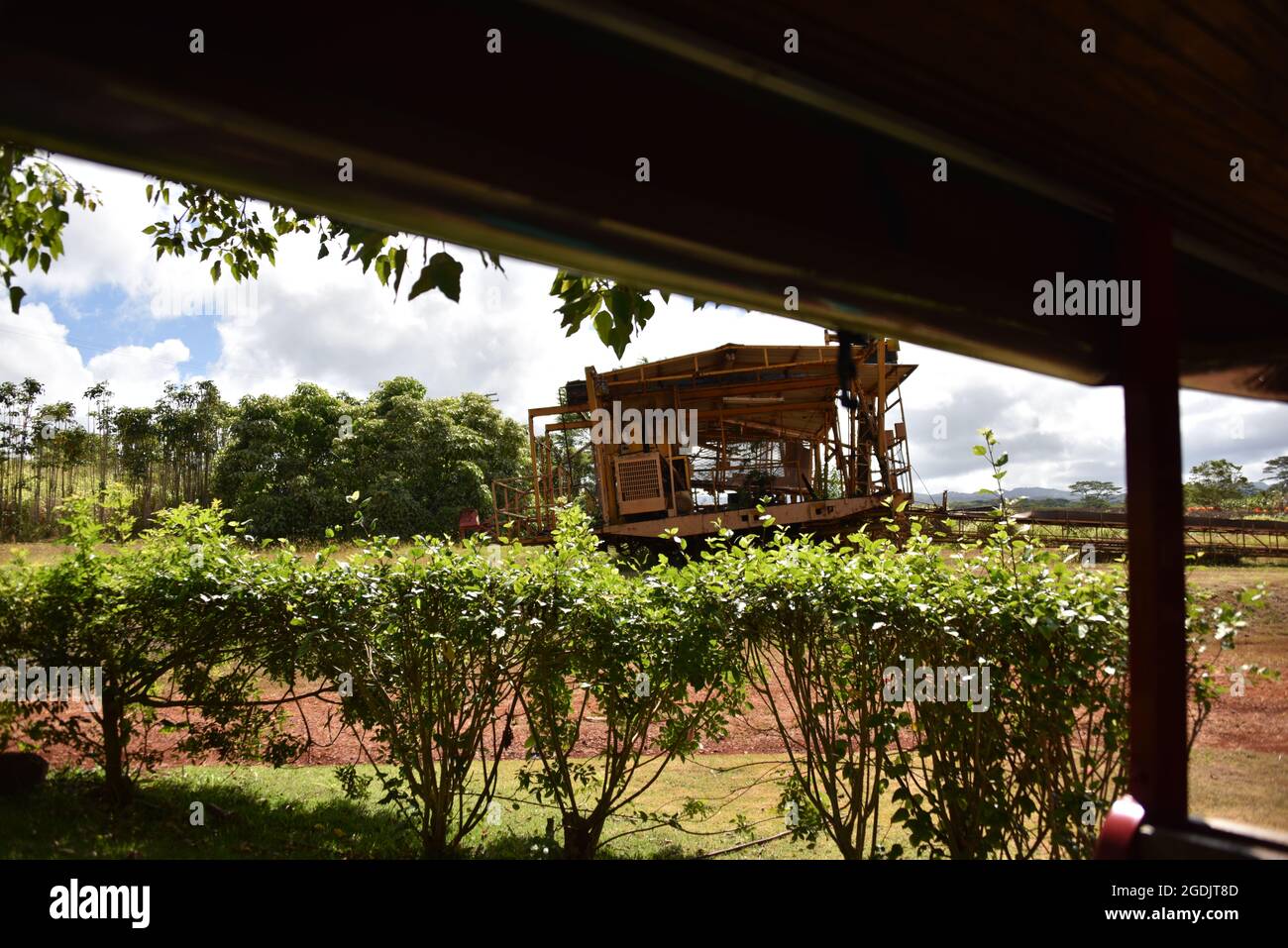 Dole plantation pineapple garden maze hi-res stock photography and ...