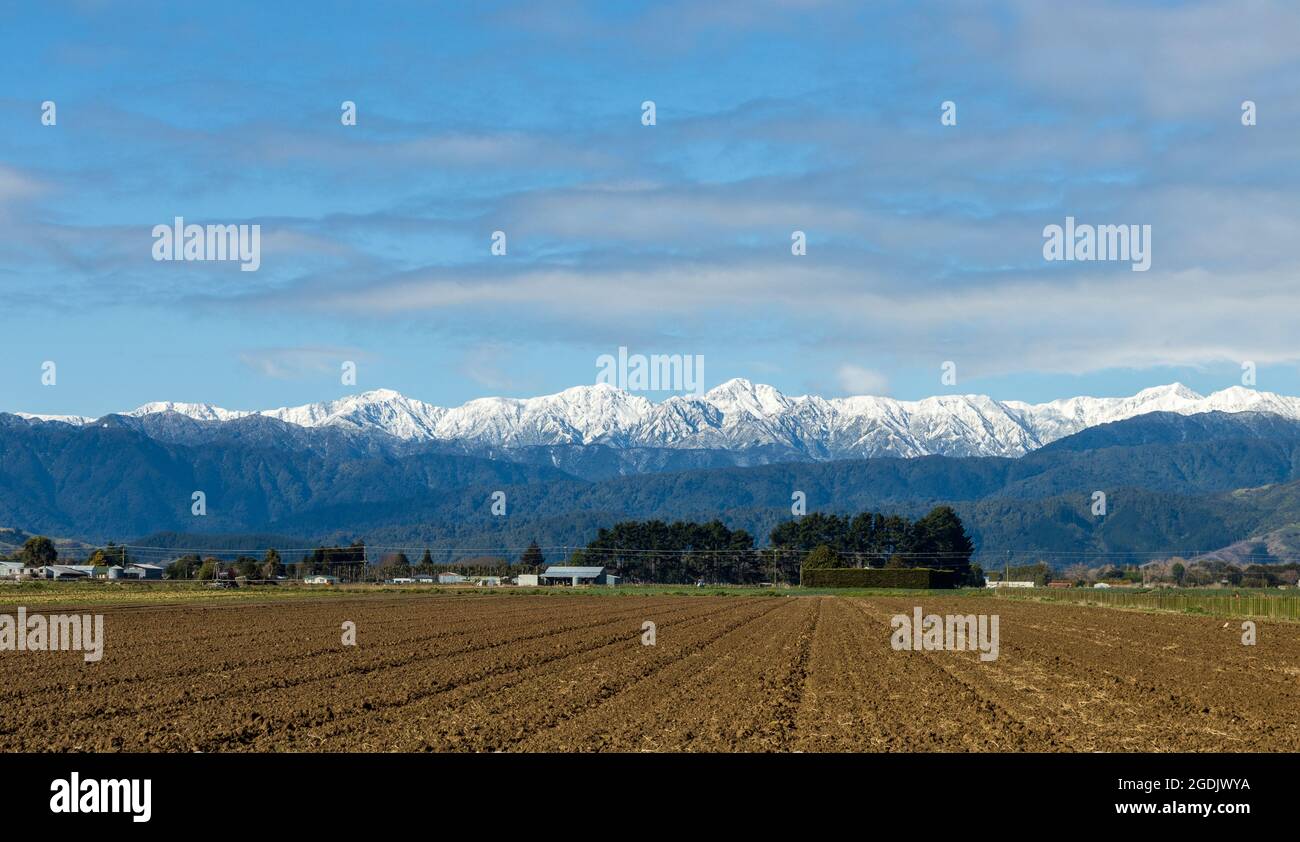Rich New Zealand soil in a field that has been plough. With winter snow ...