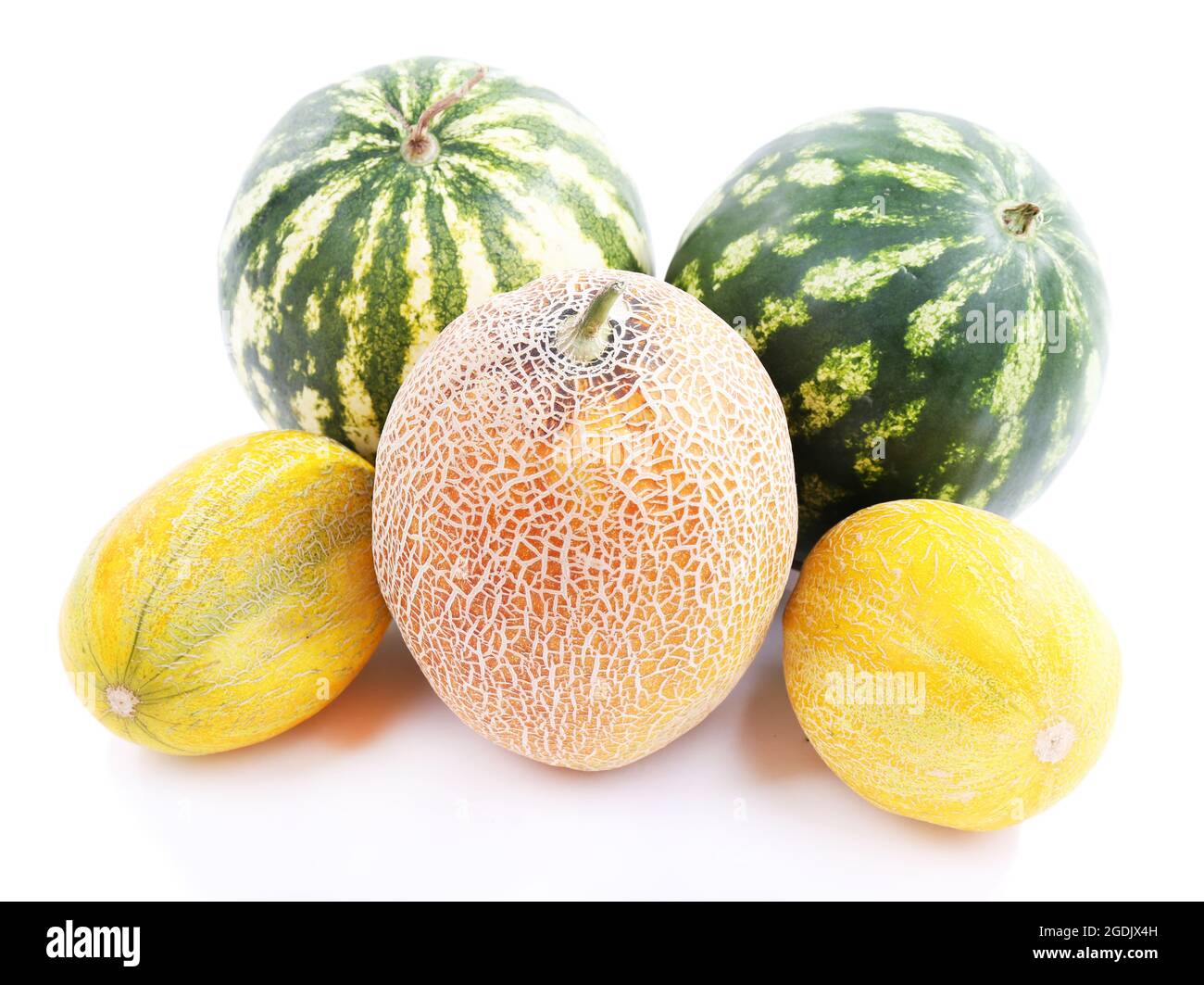 Do Snakes Smell Like Watermelon