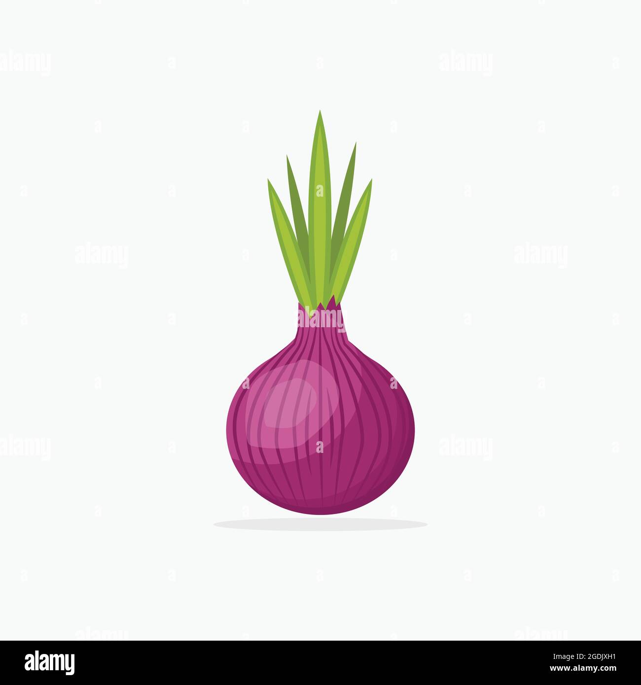 onion illustration with simple style, onion vector isolated on white ...